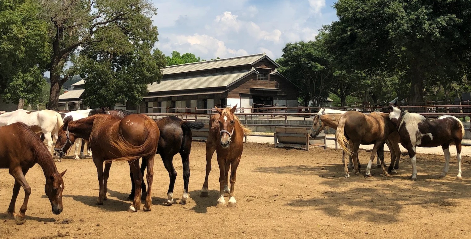 Taiwan Tourist Shuttle service