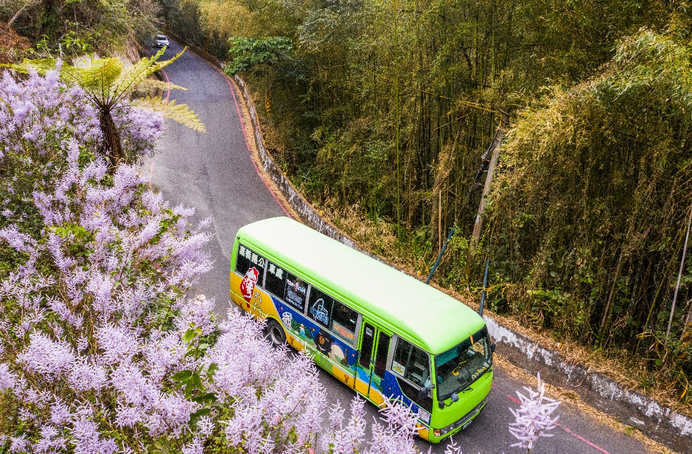 Alishan tourist shuttle bus 60 photos - Cappadociaconcepttour.com